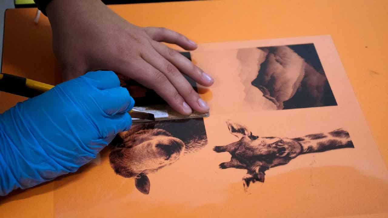 Con éxito se realizó la DI WEEK en la Universidad Autónoma de Querétaro ...